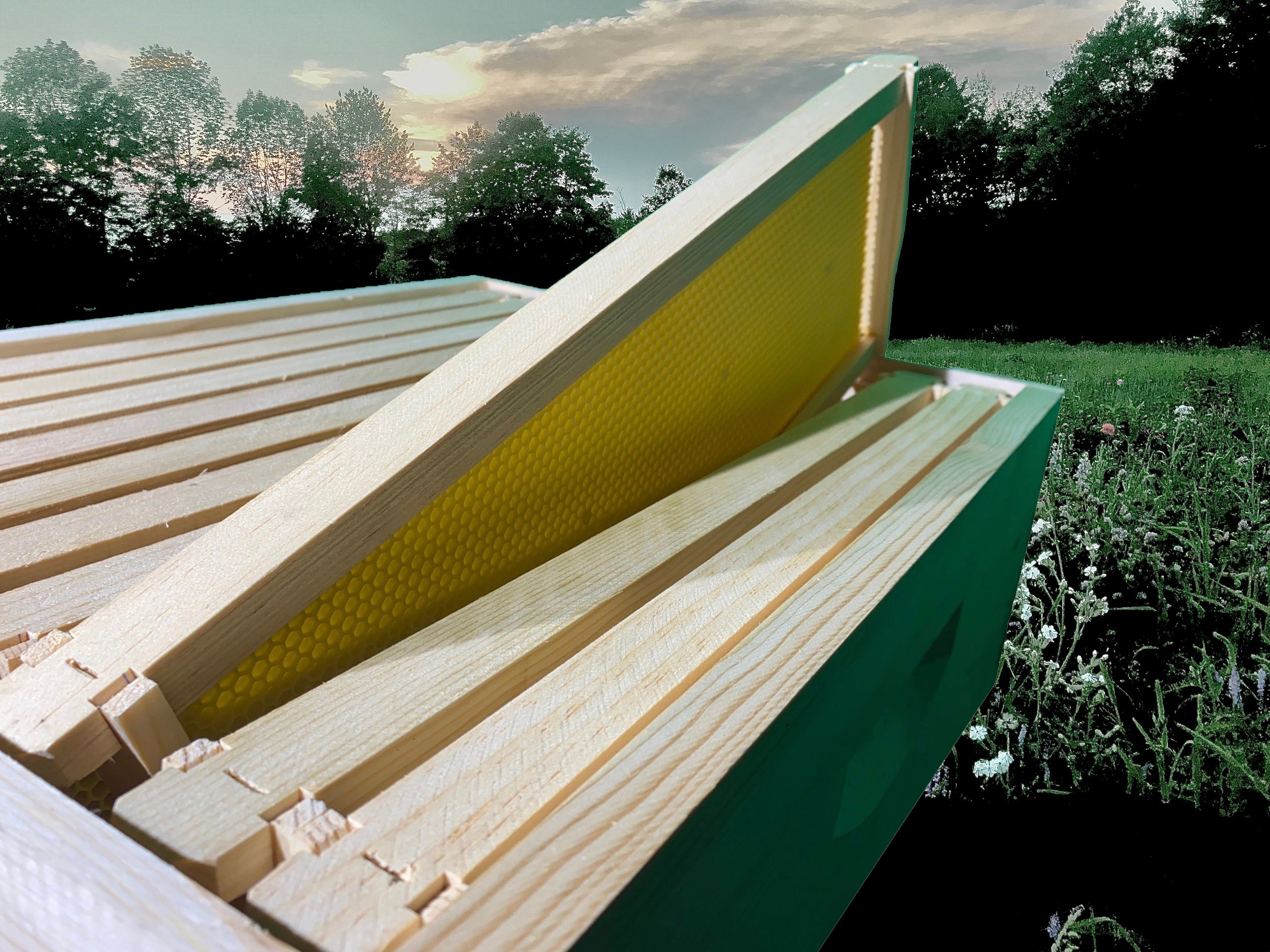 Standard Hive Kit | McCormack's Bee Farm