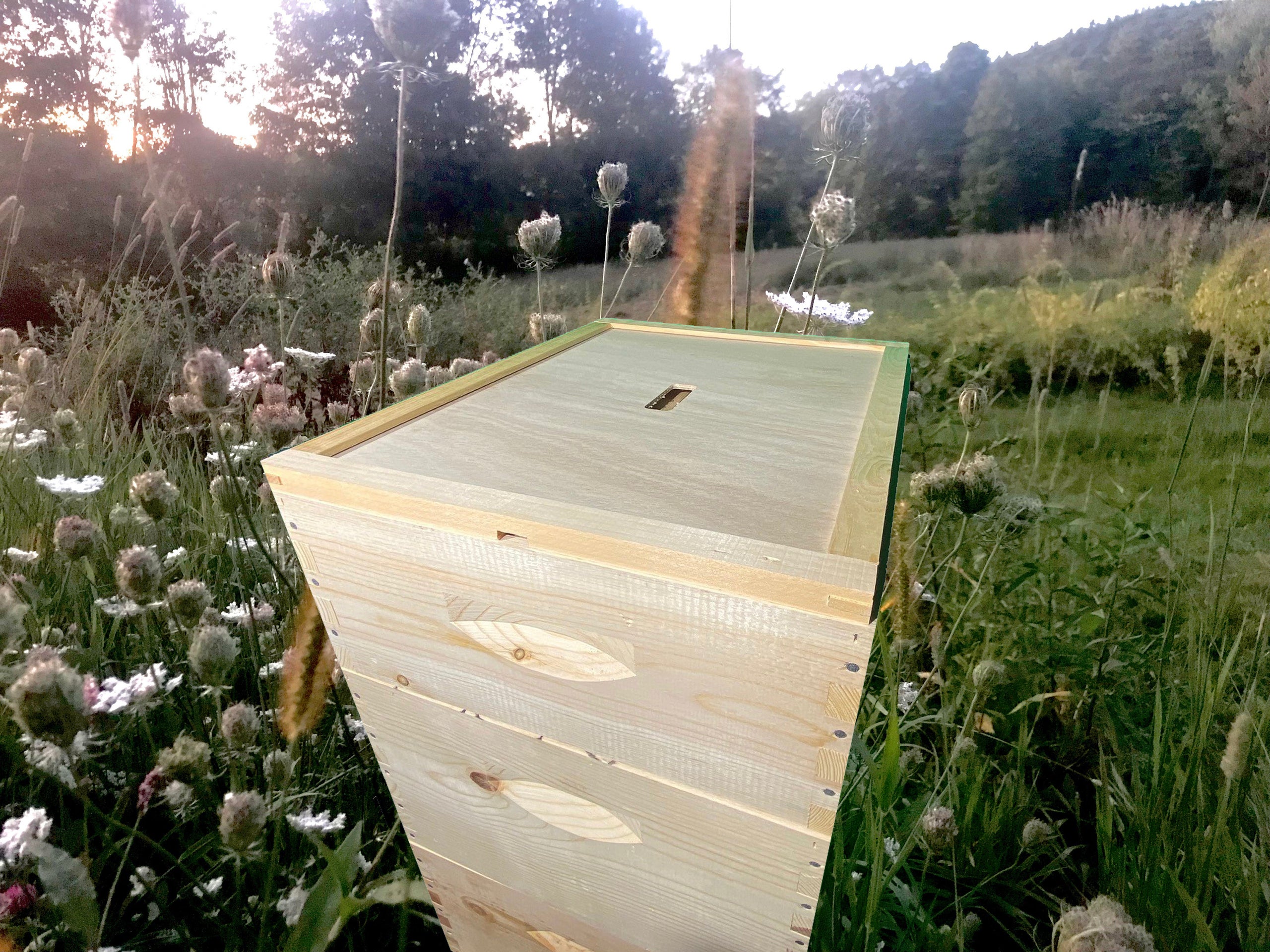 Standard Hive Kit | McCormack's Bee Farm
