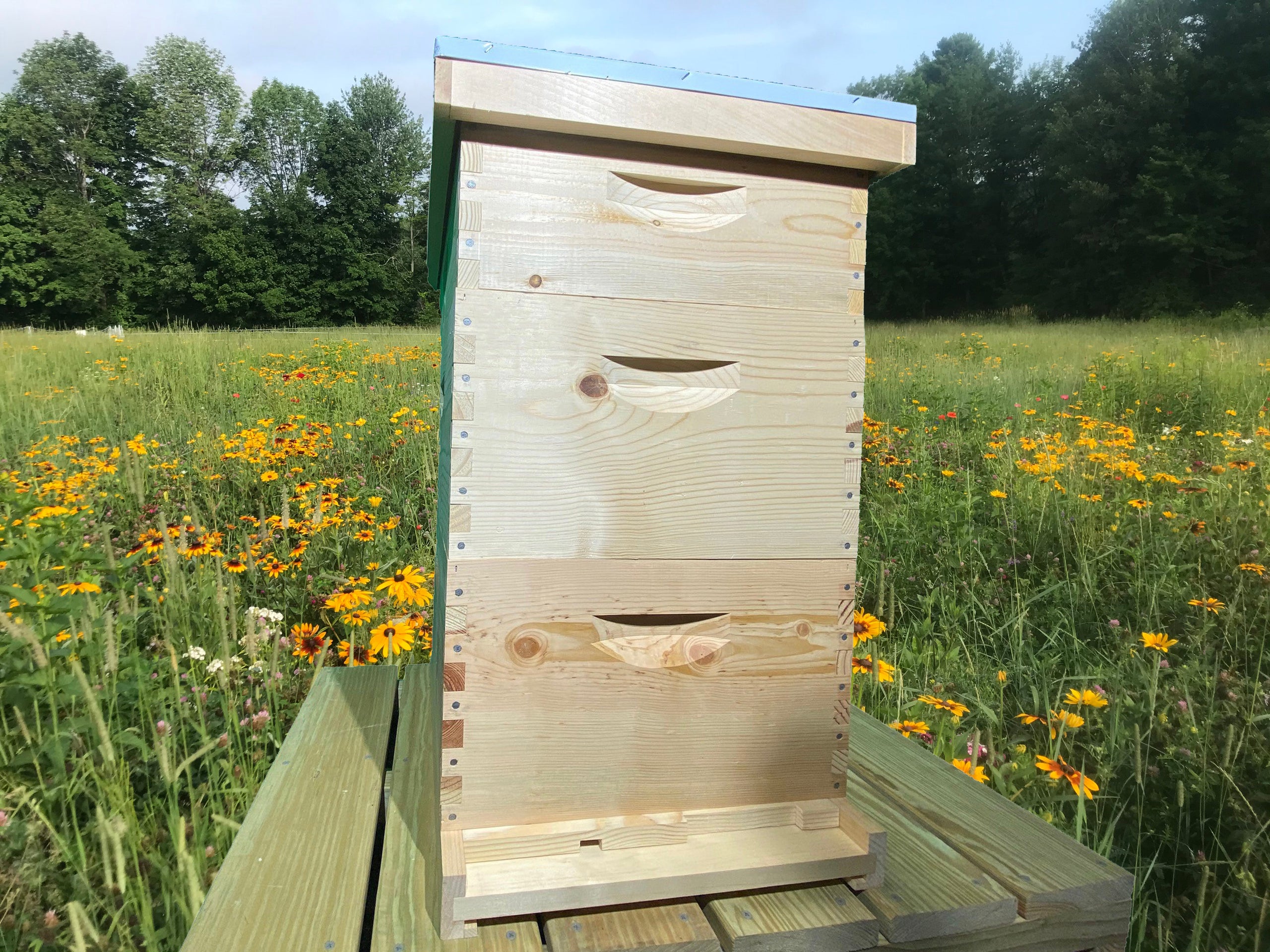 Standard Hive Kit | McCormack's Bee Farm