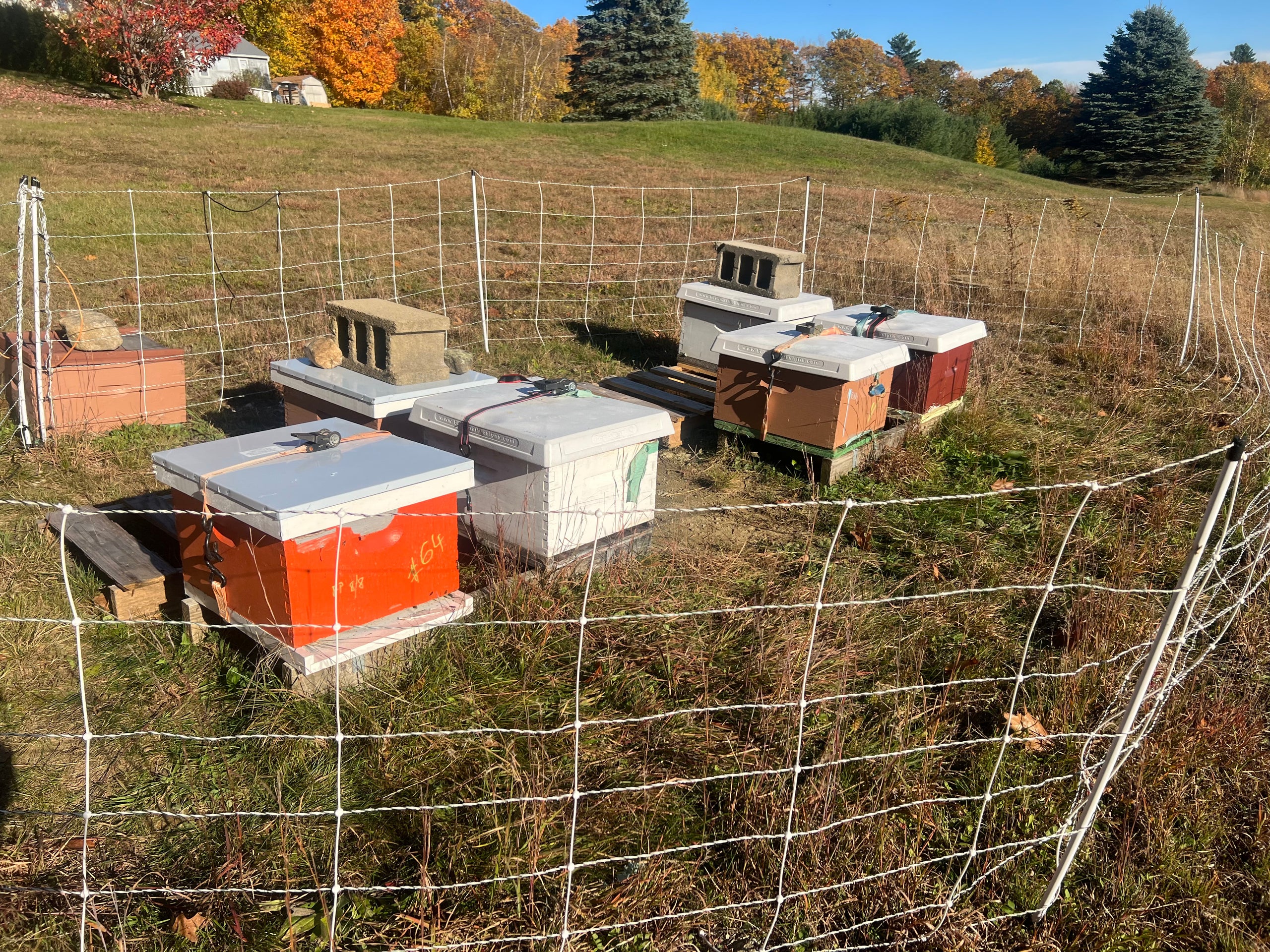 Plug In Electric Fence Kit | McCormack's Bee Farm