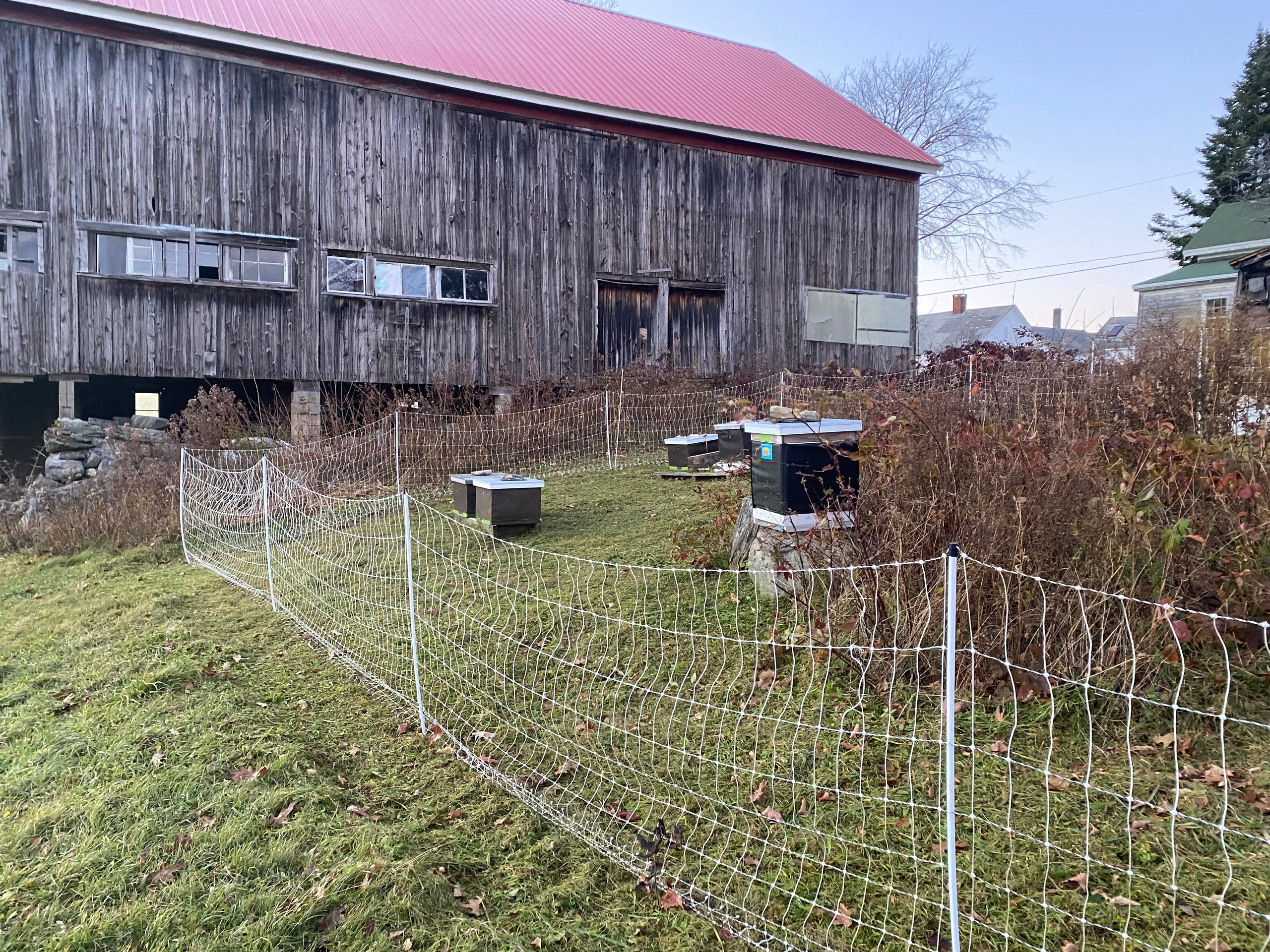 Electronet Fence | McCormack's Bee Farm